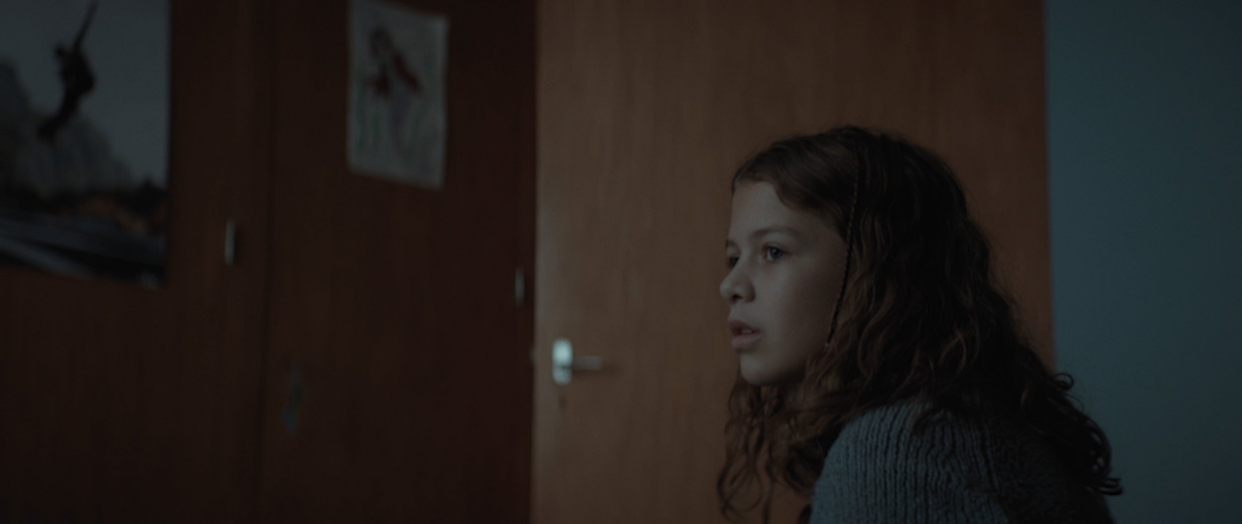 Pantser (Shielded) - DPPLR