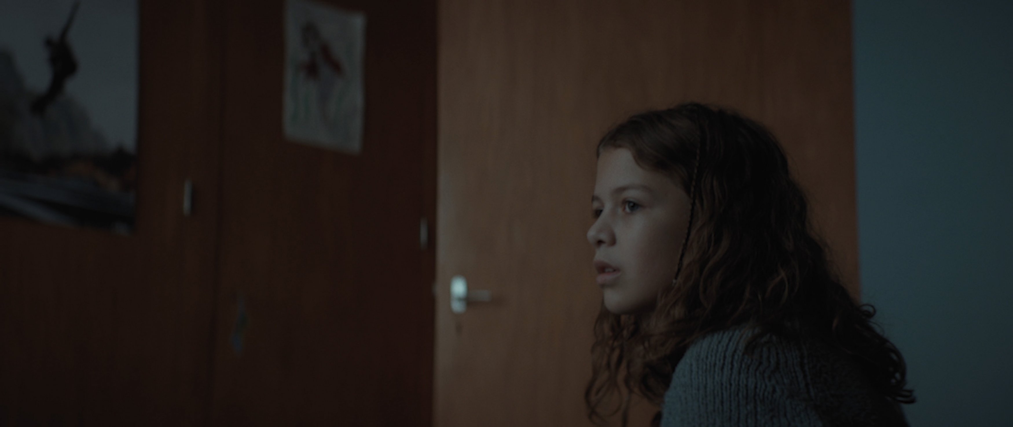 Pantser (Shielded) - DPPLR