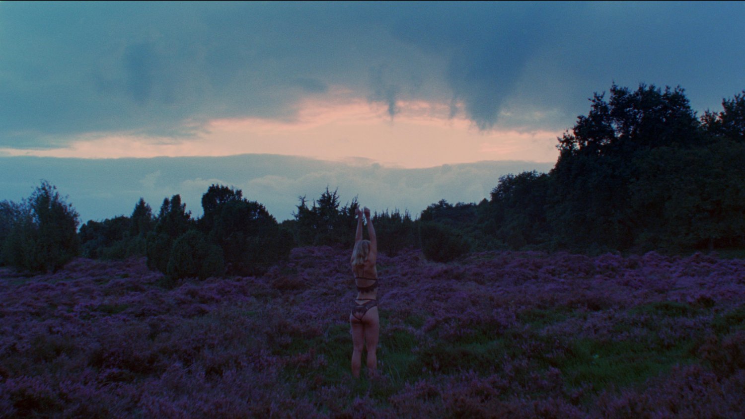 ā·rīs·an - DPPLR