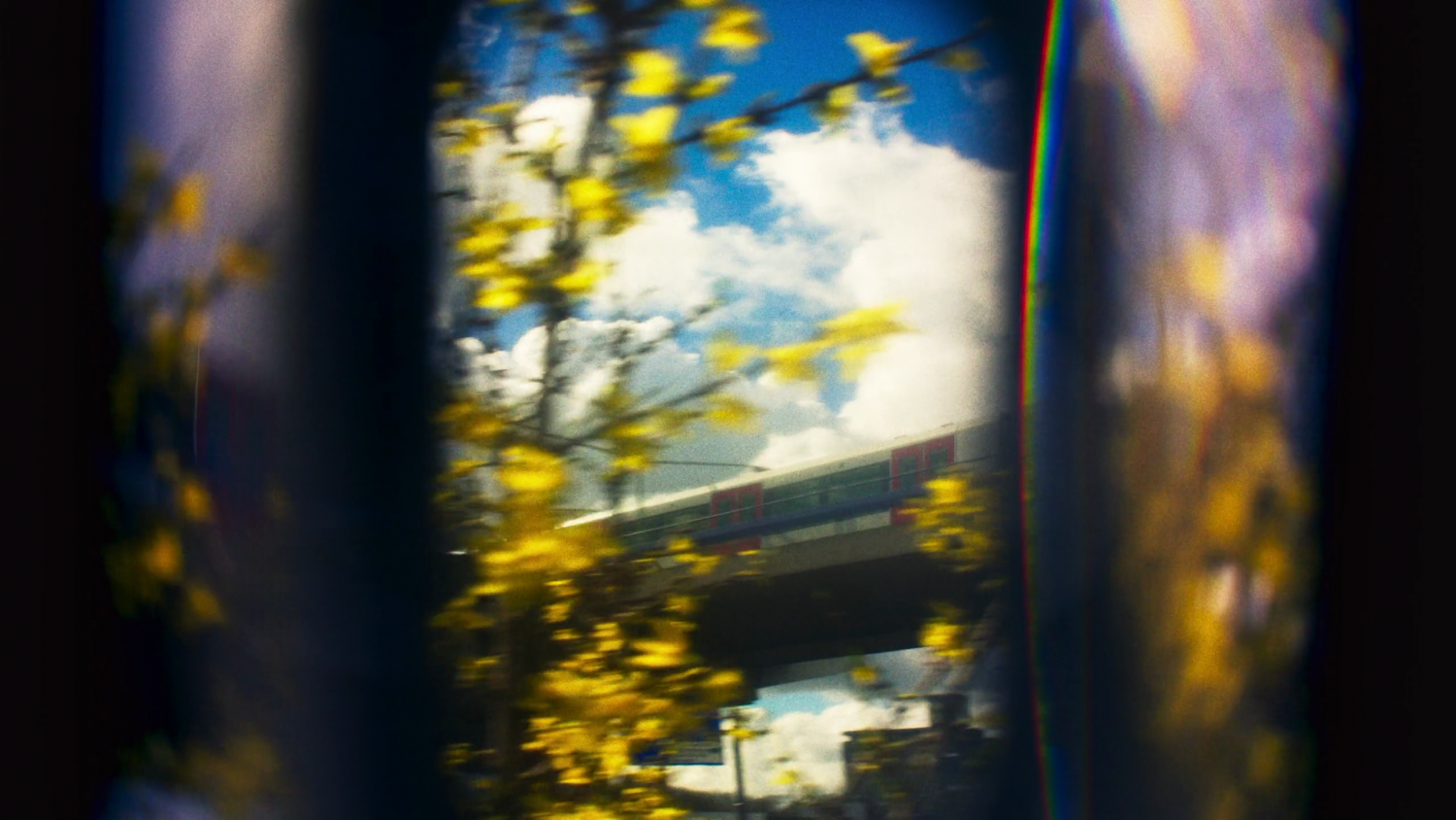 It Starts with a (Heart)Beat - DPPLR